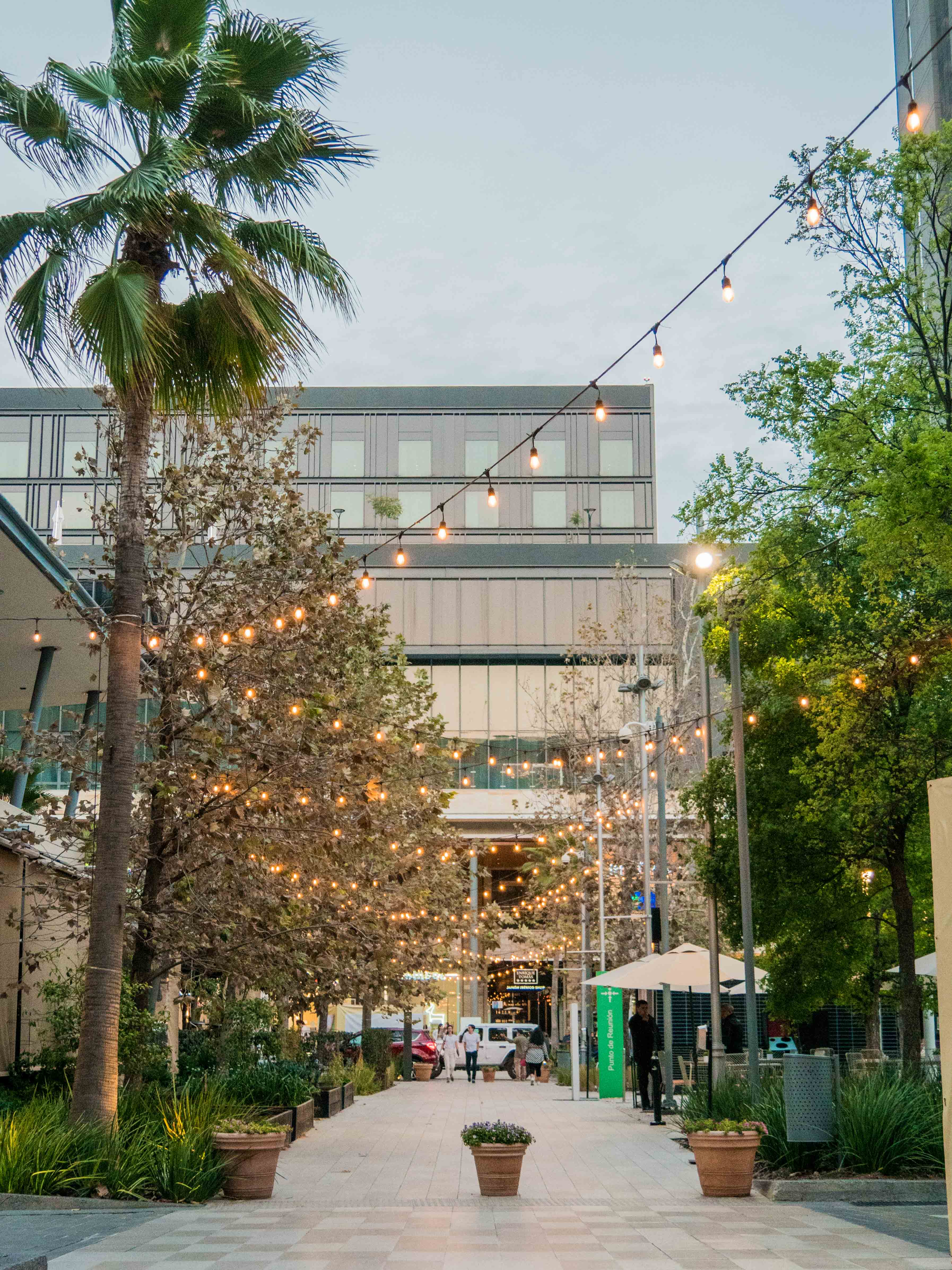 Parque Arboleda – davidriosm // Foto • Video • Diseño